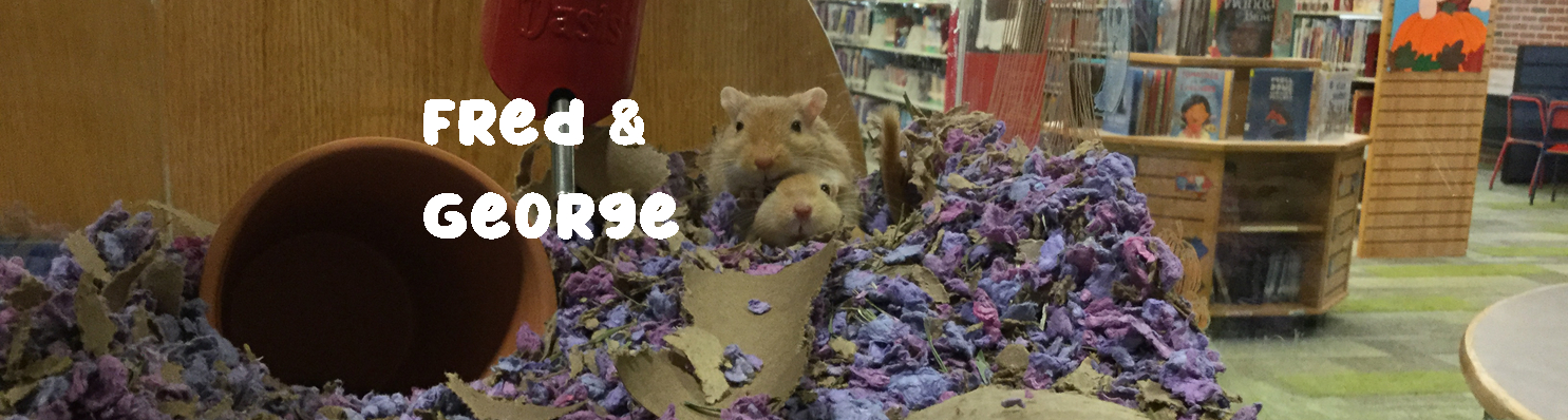 Twinsburg Public Library | Inform, entertain, educate and inspire